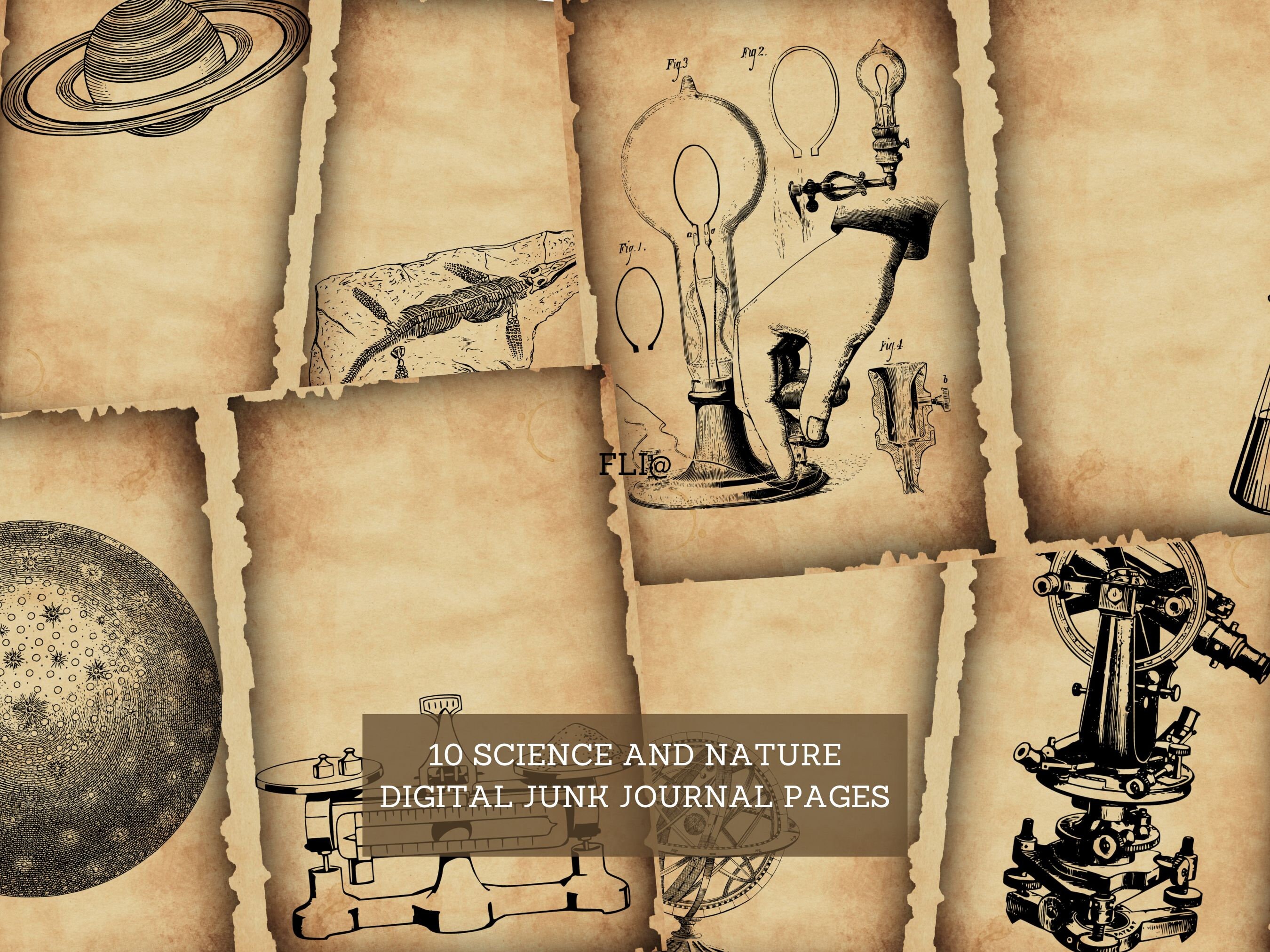 Science & Nature Junk Journal Pages, Vintage Laboratory Junk Journal ...