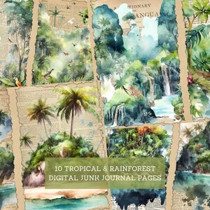 Tropical & Rainforest Junk Journal Pages, Vintage Jungle Junk Journal ...
