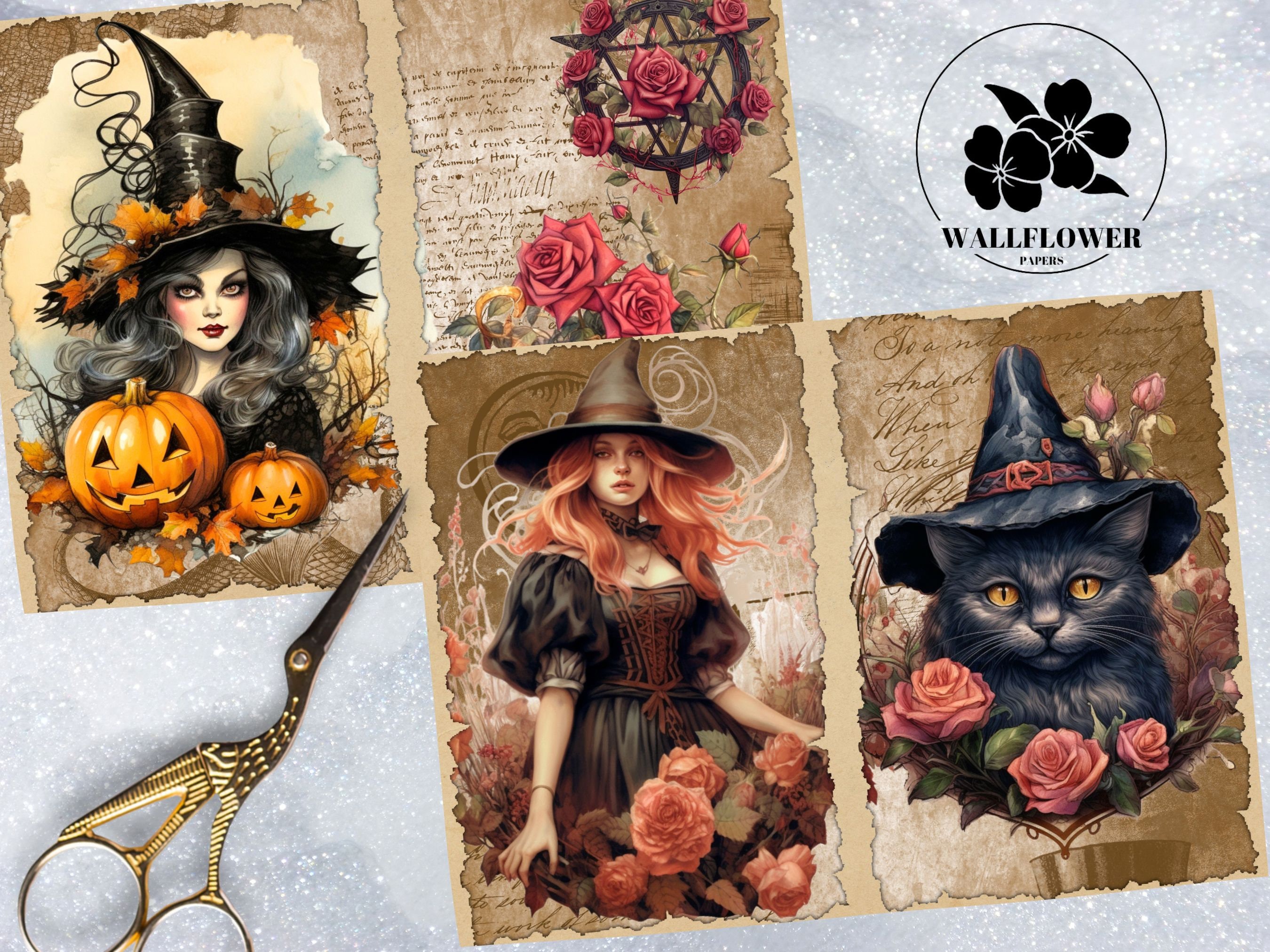 Vintage Halloween Witch Wallpaper