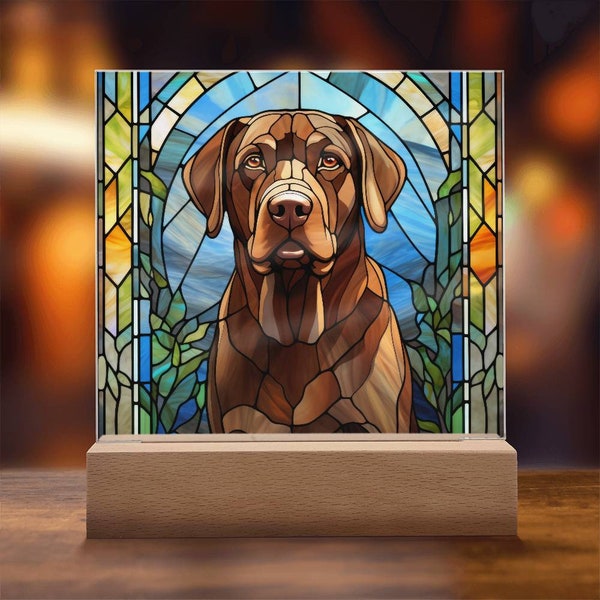 Chocolate Lab Statues - Etsy