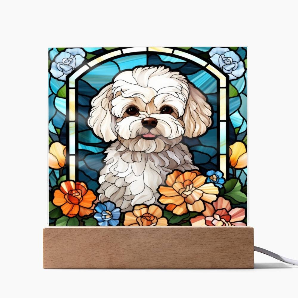 Maltipoo Acrylic Plaque, Maltipoo Lover Gift, Dog Lover Gift, Maltipoo ...