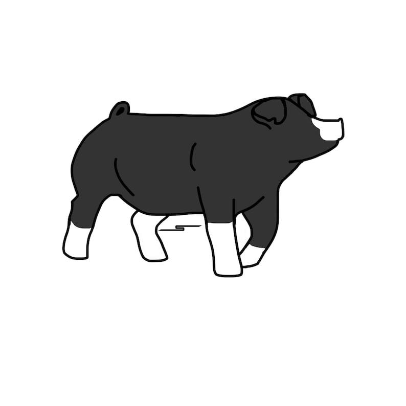 Show Pig Kiss-cut Vinyl Decals *showpig Stickers* Crossbred, Duroc ...