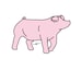 Show Pig Kiss-cut Vinyl Decals *showpig Stickers* Crossbred, Duroc ...