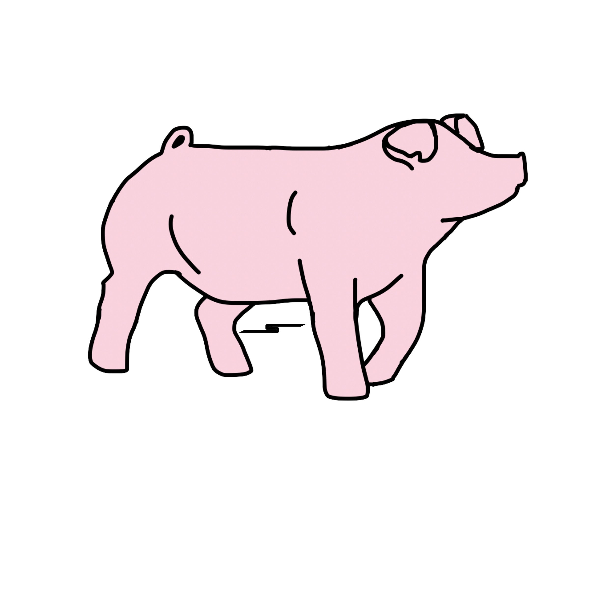 Show Pig Kiss-cut Vinyl Decals *showpig Stickers* Crossbred, Duroc ...