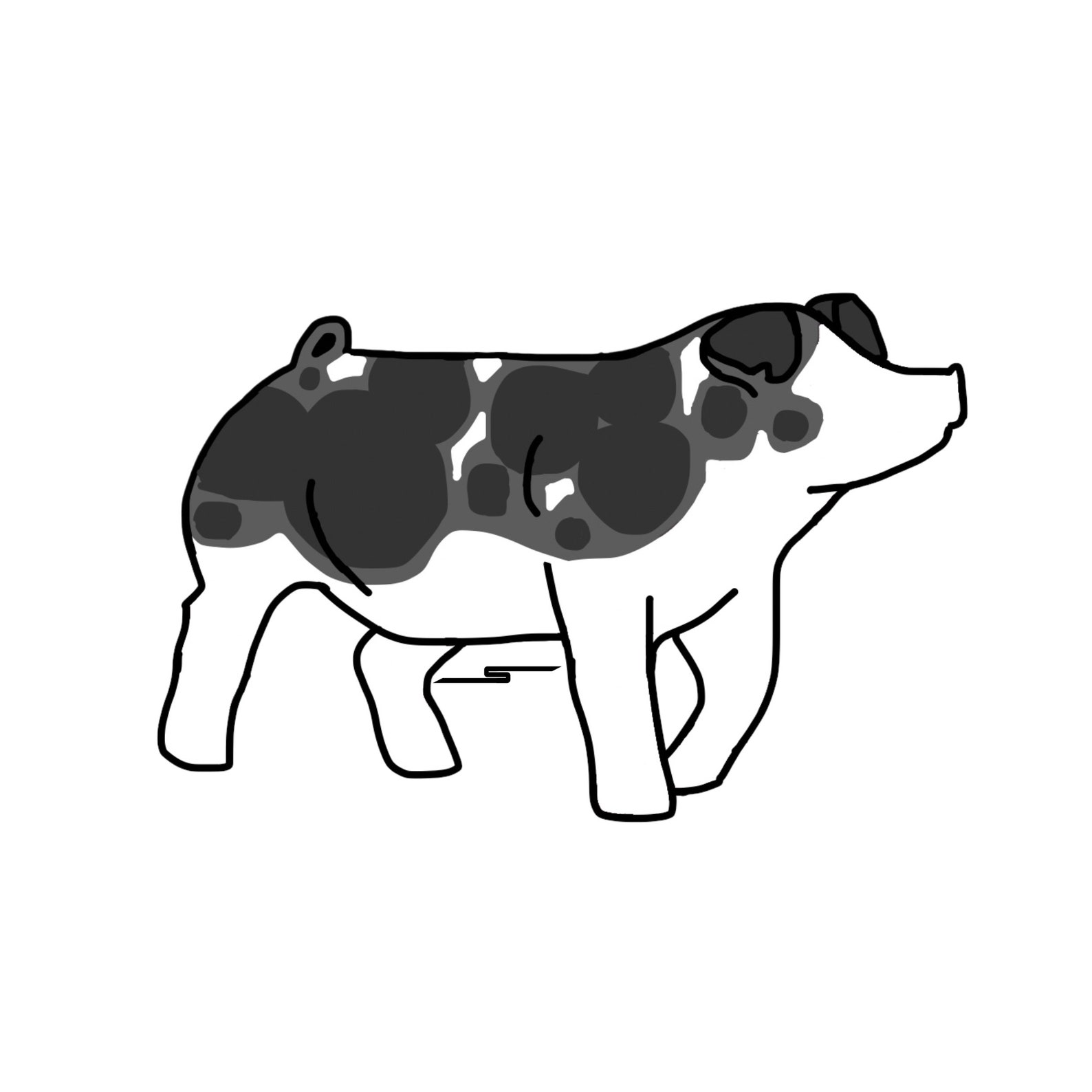 Show Pig Kiss-cut Vinyl Decals *showpig Stickers* Crossbred, Duroc ...