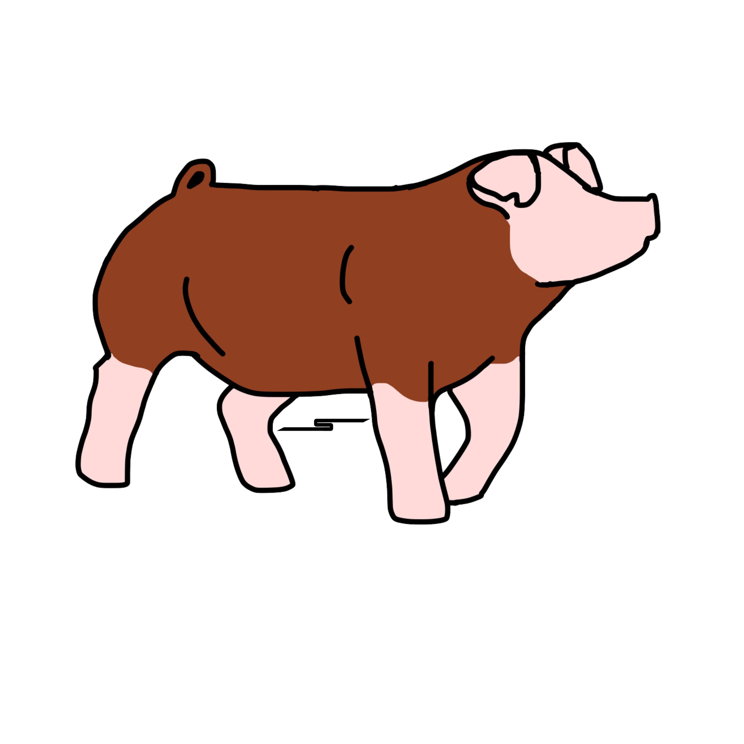 Show Pig Kiss-cut Vinyl Decals *showpig Stickers* Crossbred, Duroc ...
