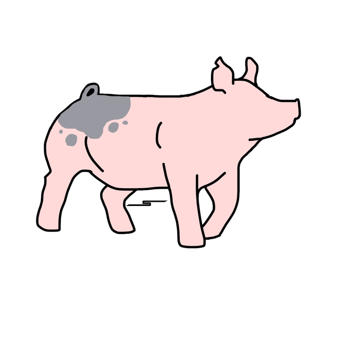 Show Pig Kiss-cut Vinyl Decals *showpig Stickers* Crossbred, Duroc ...