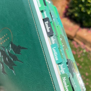 NLT Personal Size Green Giant Print Bible, Filament-enabled Edition ...