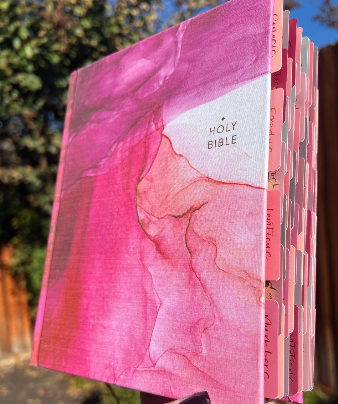 Pink Marble NIV Bible With Pink Ombré Tabs - Etsy