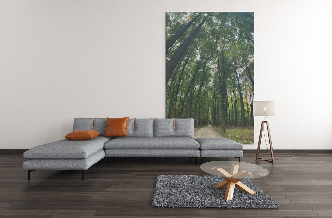 Forrest Printable Wall Decor, Downloadable Wall Art, Digital Photo ...