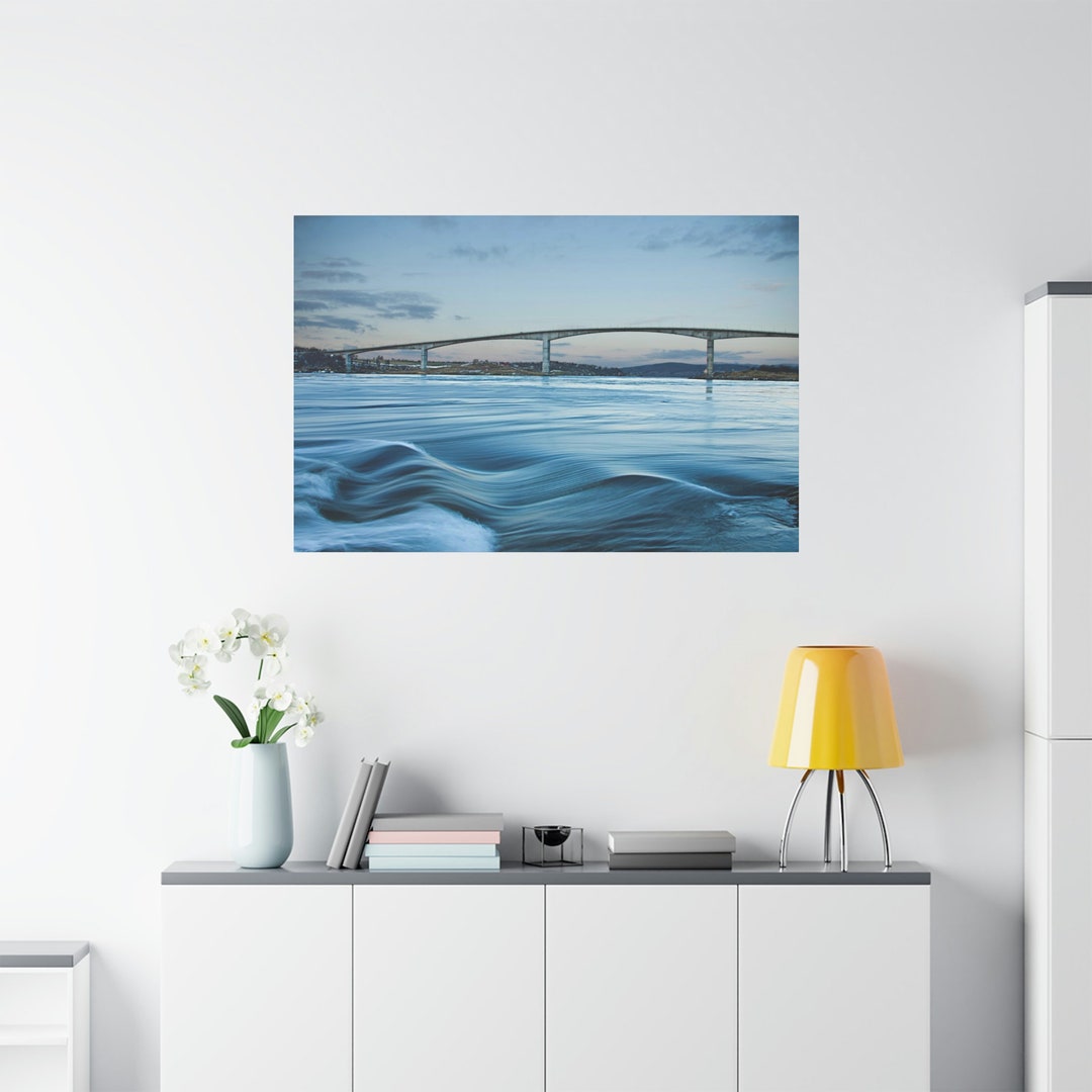 Saltstraumen North of Norway Picture, Canvas, Local Nature Animals ...