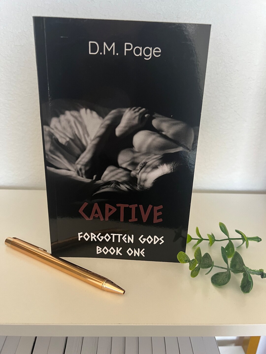 Captive (forgotten Gods Reverse Harem Book One) by DM Page - Etsy