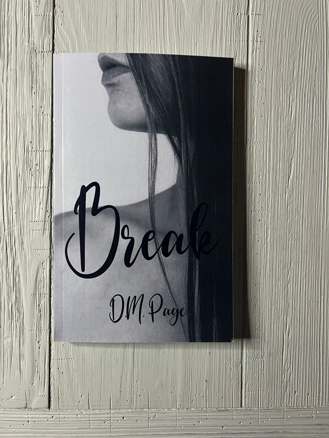 Break brickstone University Reverse Harem Book Three by DM - Etsy