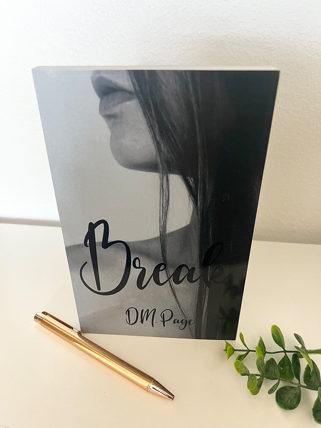 Break (brickstone University Reverse Harem Book Three) by DM Page - Etsy