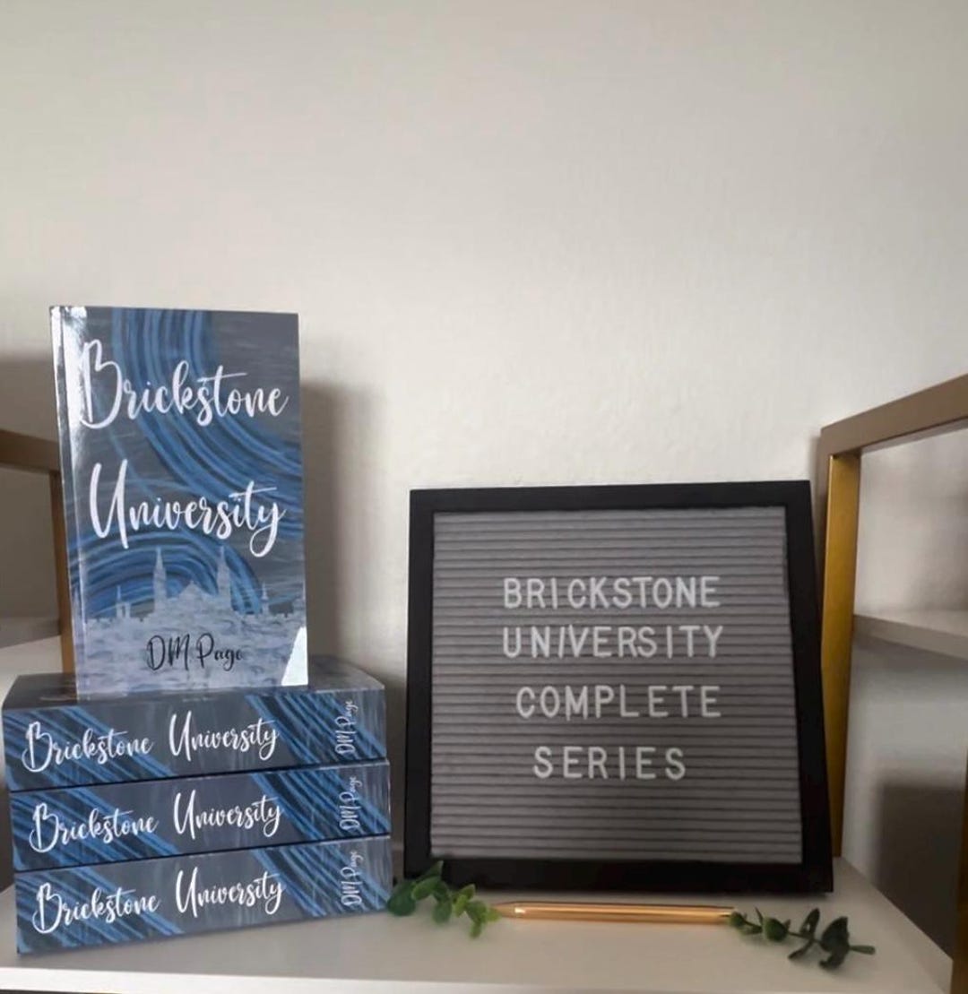 Brickstone University Complete Series Single Book by D.M. Page - Etsy