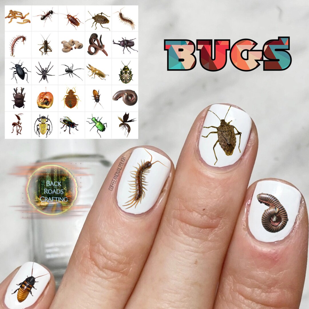 Bugs Nail Art Waterslide Sticker Decals, Set of 50 Bonus, Instructions ...