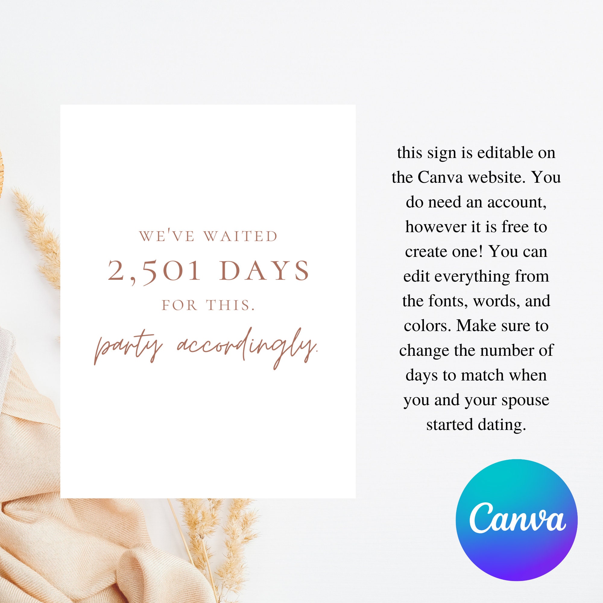 Party Accordingly Wedding Sign | Funny Wedding Sign | EDITABLE CANVA ...