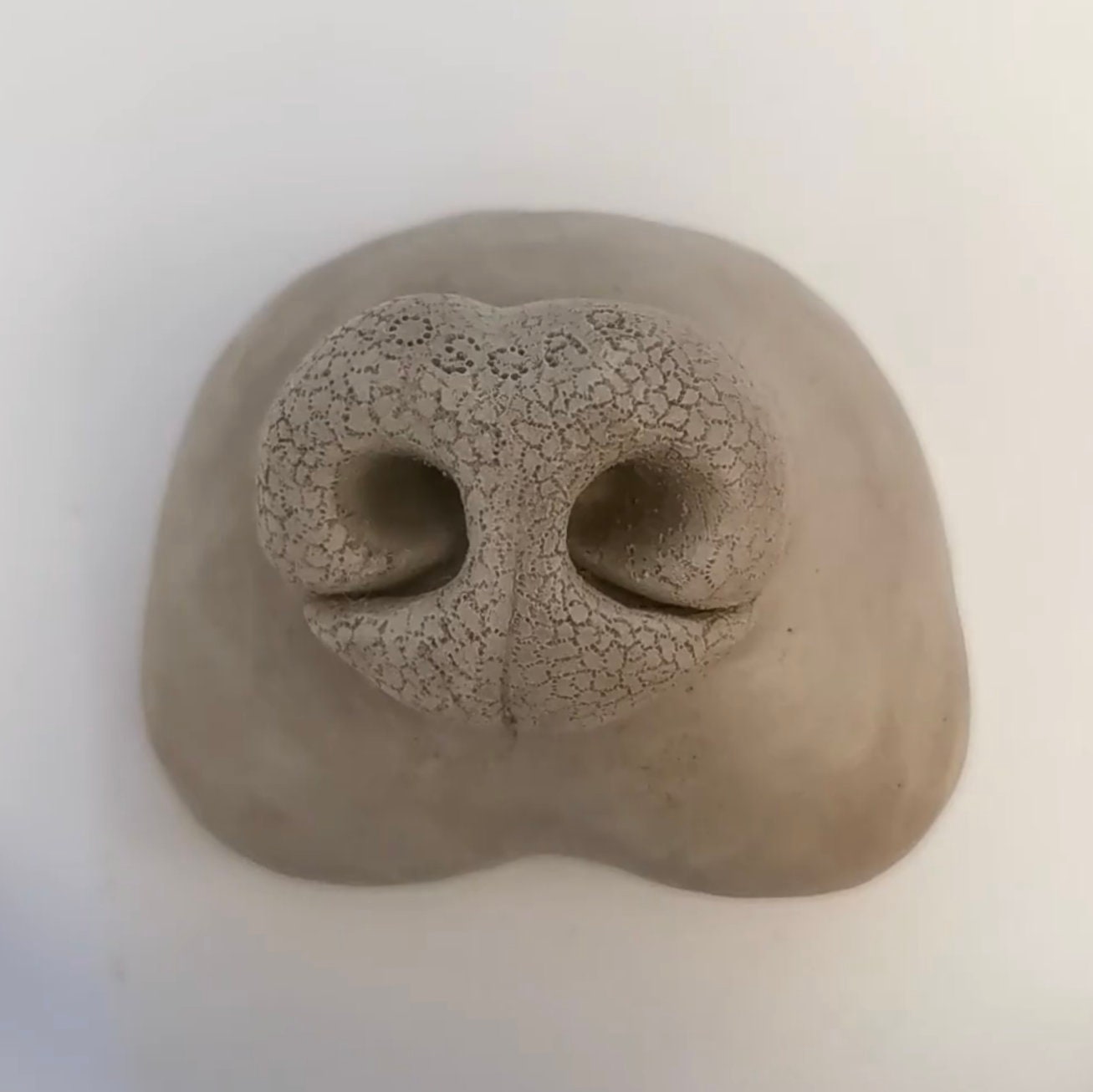 Custom Dog Nose Sculpture Pet Portrait Pet Memorial Wall Hanging Dog ...