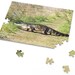 Alligator Puzzle 120, 252, 500-piece Wildlife Gifts Games Animal ...