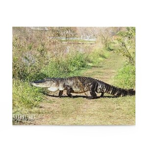 Alligator Puzzle 120, 252, 500-piece Wildlife Gifts Games Animal ...