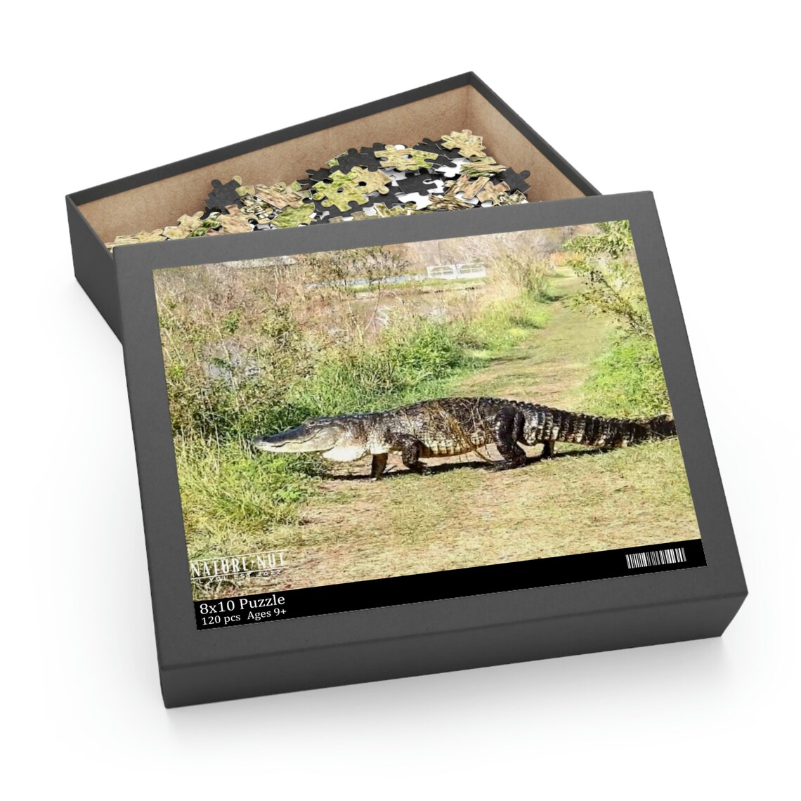 Alligator Puzzle 120, 252, 500-piece Wildlife Gifts Games Animal ...