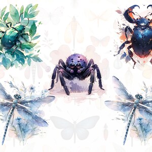 Watercolor Insects and Bugs Clipart Bundle, Watercolor PNG for ...