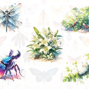 Watercolor Insects and Bugs Clipart Bundle, Watercolor PNG for ...