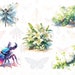 Watercolor Insects and Bugs Clipart Bundle, Watercolor PNG for ...