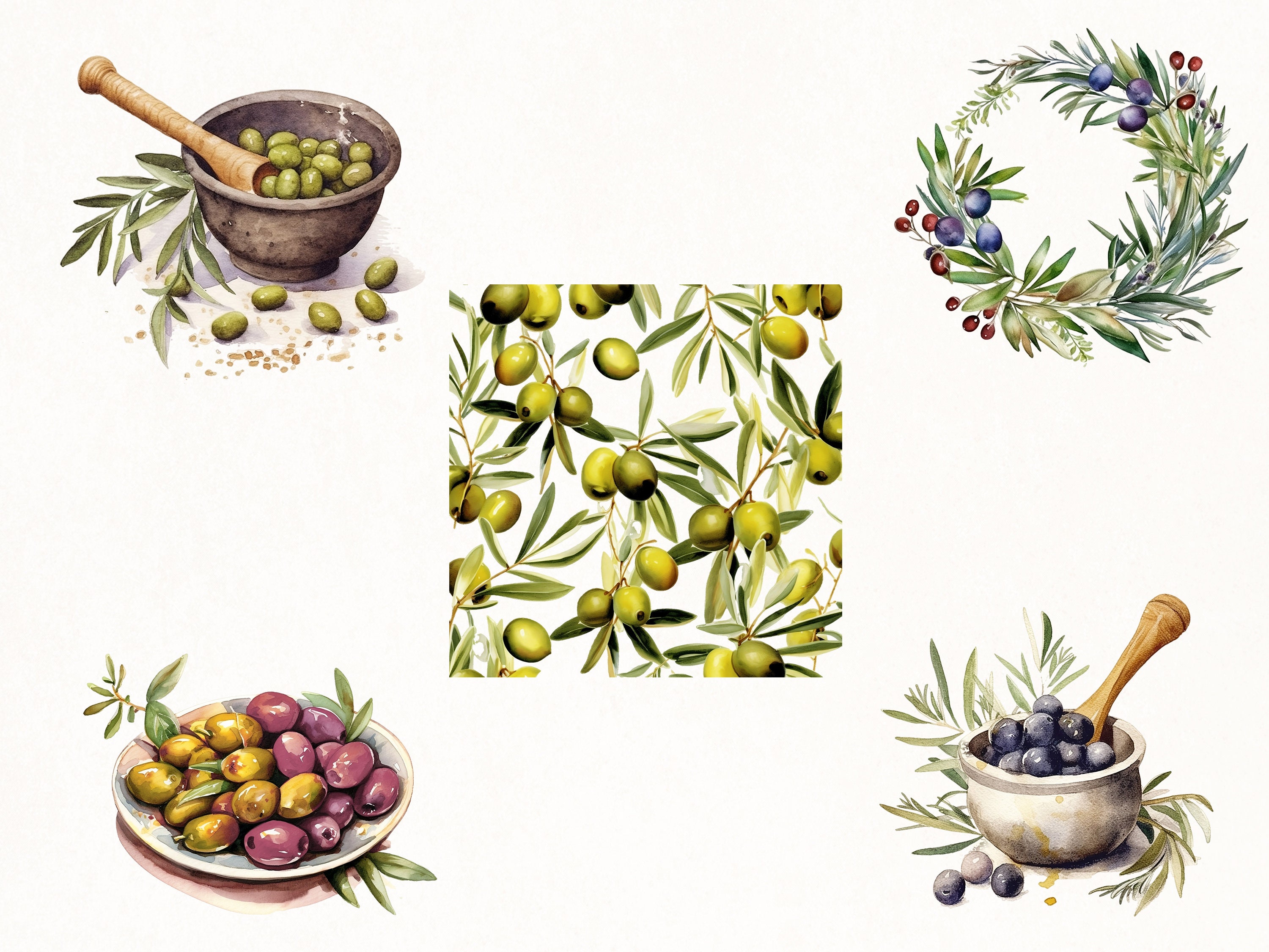 Watercolor Olives Clipart Bundle, PNG Cliparts on Theme of Olives for ...