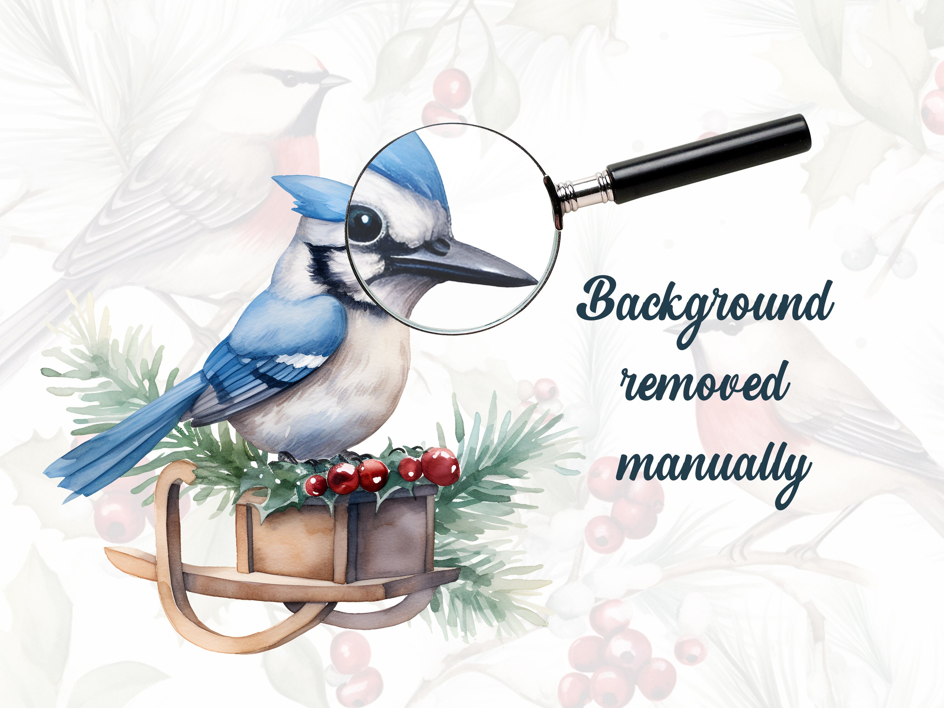 Watercolor Christmas Birds, Clipart PNG Cute Christmas Birds Bundle ...