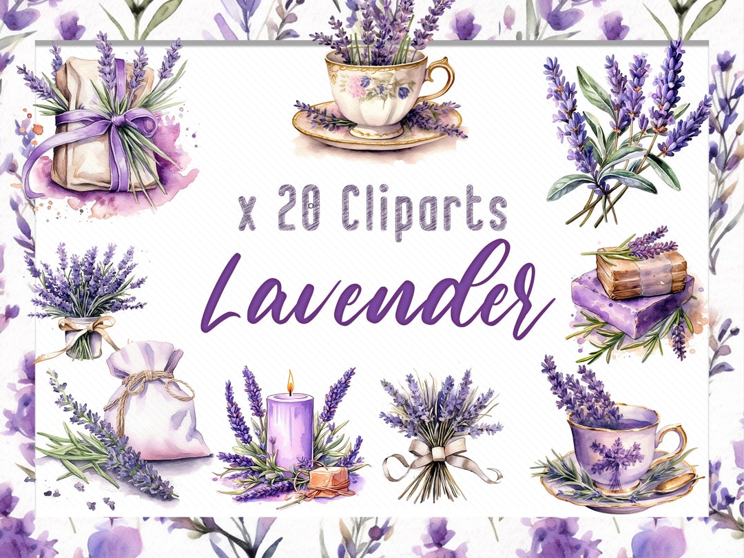 Watercolor Lavender Clipart Bundle, Watercolor Lavender Theme PNG for ...