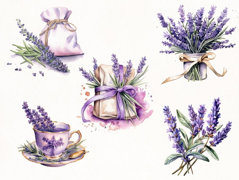 Watercolor Lavender Clipart Bundle, Watercolor Lavender Theme PNG for ...