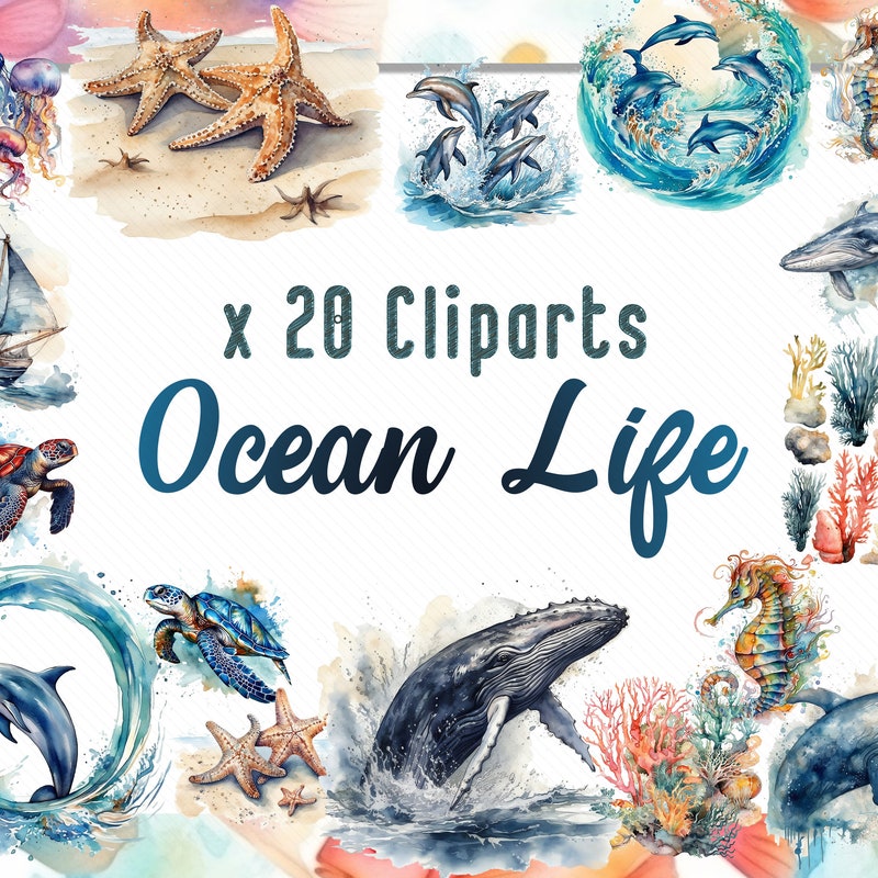 Sea Life Watercolor - Etsy