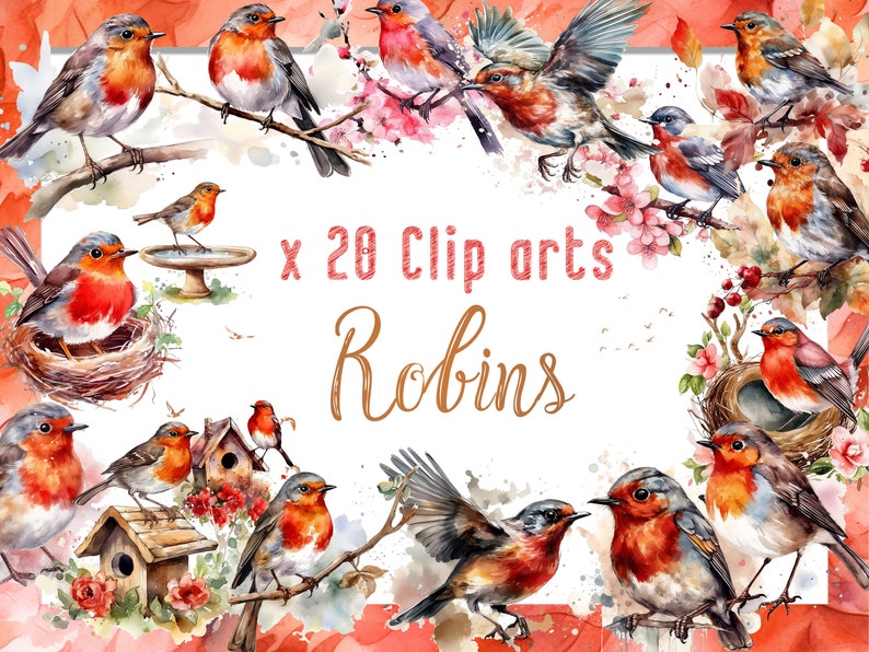 Watercolor Clipart Robins, Red Robins, European Robins, Watercolor PNG ...