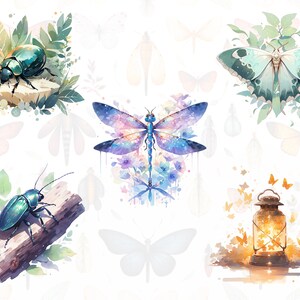 Watercolor Insects and Bugs Clipart Bundle, Watercolor PNG for ...