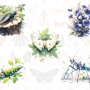 Watercolor Insects and Bugs Clipart Bundle, Watercolor PNG for ...