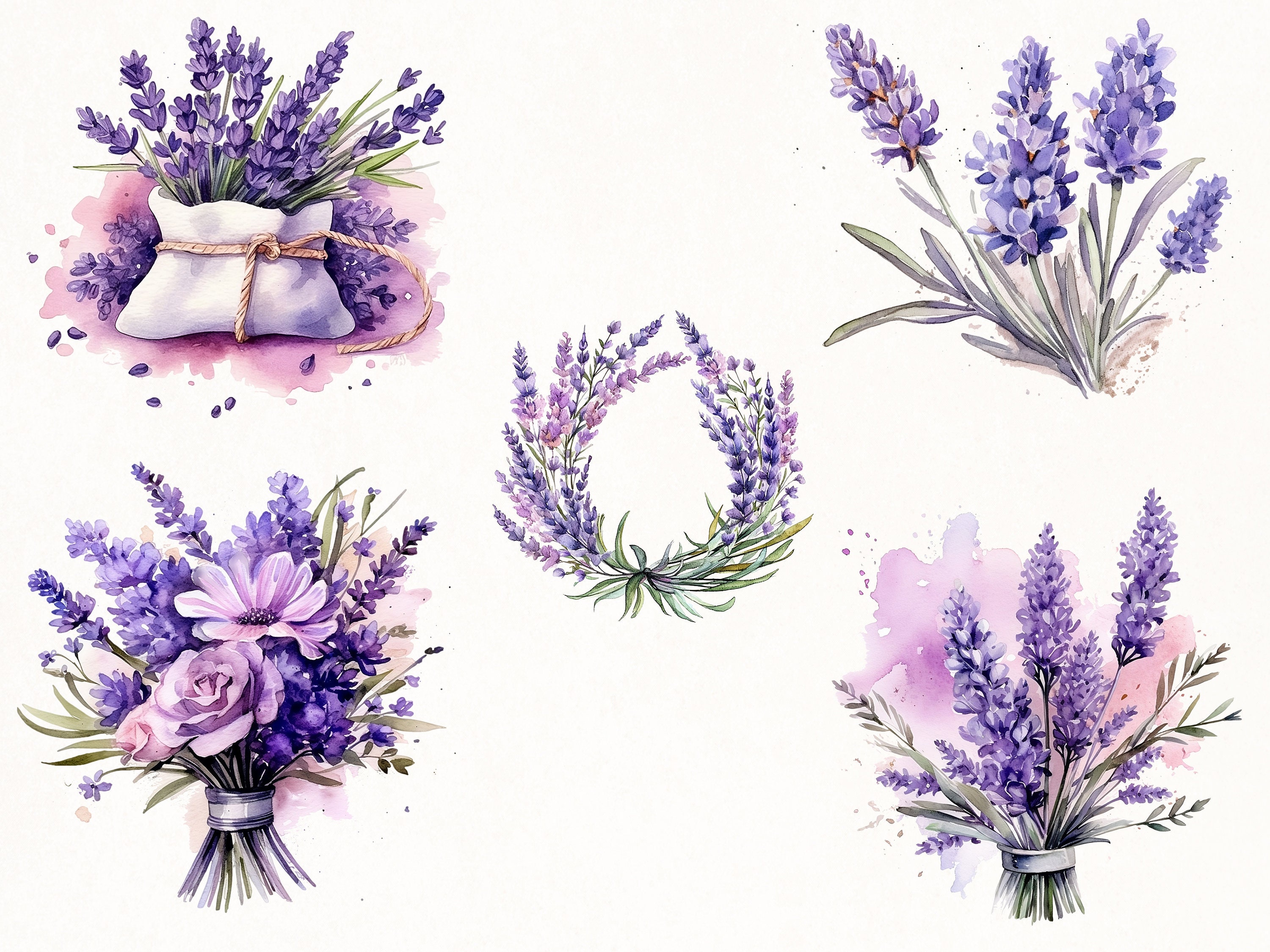 Watercolor Lavender Clipart Bundle, Watercolor Lavender Theme PNG for ...