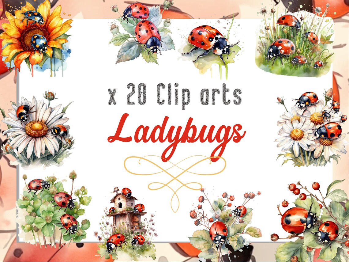 Watercolor Clipart Ladybugs, Flowers and Ladybugs Spring Bundle ...