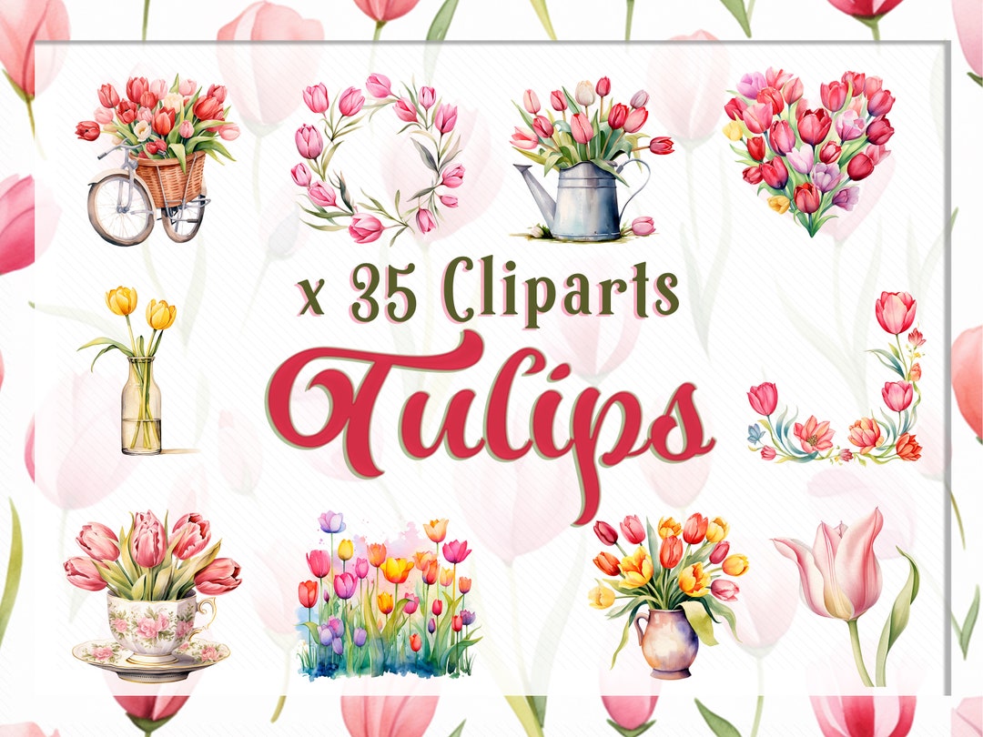 Watercolor Tulips Clipart PNG, Flower Bundle Clipart for Special ...