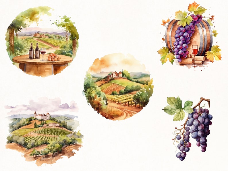 French Vineyards Watercolor Clipart Bundle Watercolor Wine - Etsy