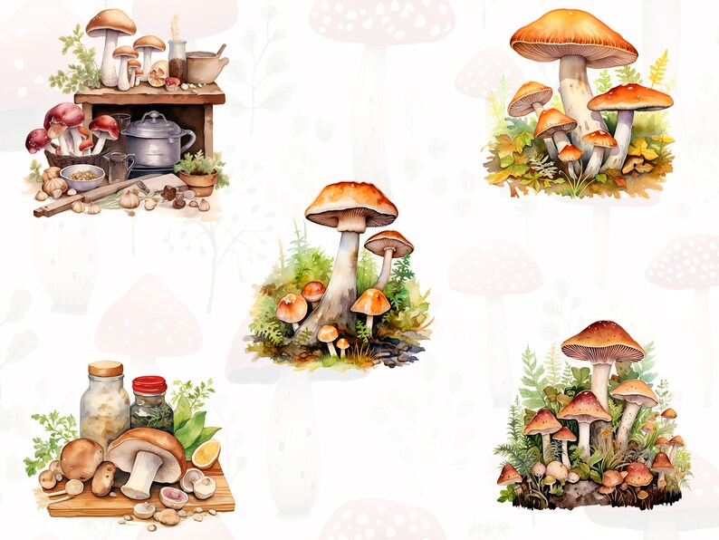 Watercolor Mushroom Bundle | Mushrooms Illustrations PNG Clipart | Fall ...