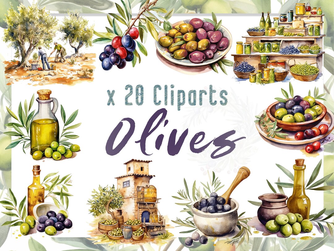 Watercolor Olives Clipart Bundle, PNG Cliparts on Theme of Olives for ...
