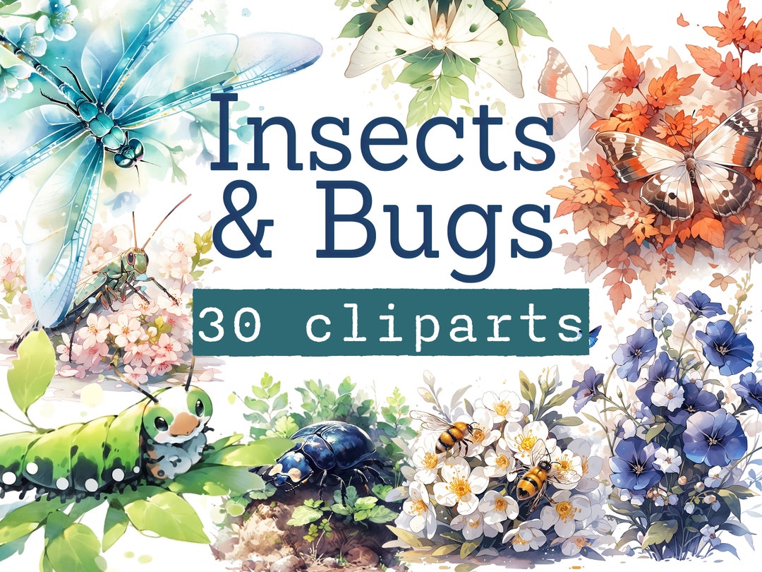 Watercolor Insects and Bugs Clipart Bundle, Watercolor PNG for ...