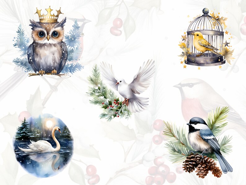 Watercolor Christmas Birds, Clipart PNG Cute Christmas Birds Bundle ...