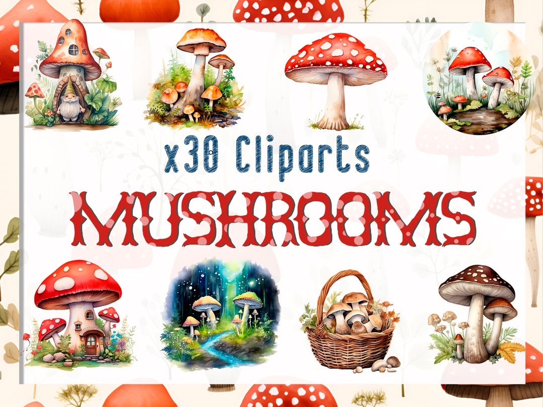 Watercolor Mushroom Bundle | Mushrooms Illustrations PNG Clipart | Fall ...