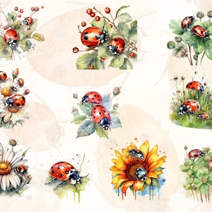 Watercolor Clipart Ladybugs, Flowers and Ladybugs Spring Bundle ...
