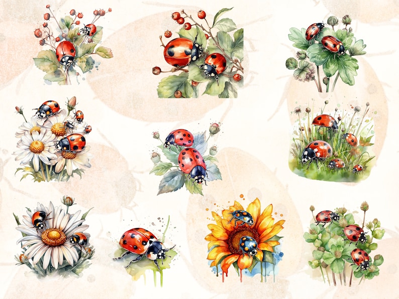 Watercolor Clipart Ladybugs, Flowers and Ladybugs Spring Bundle ...