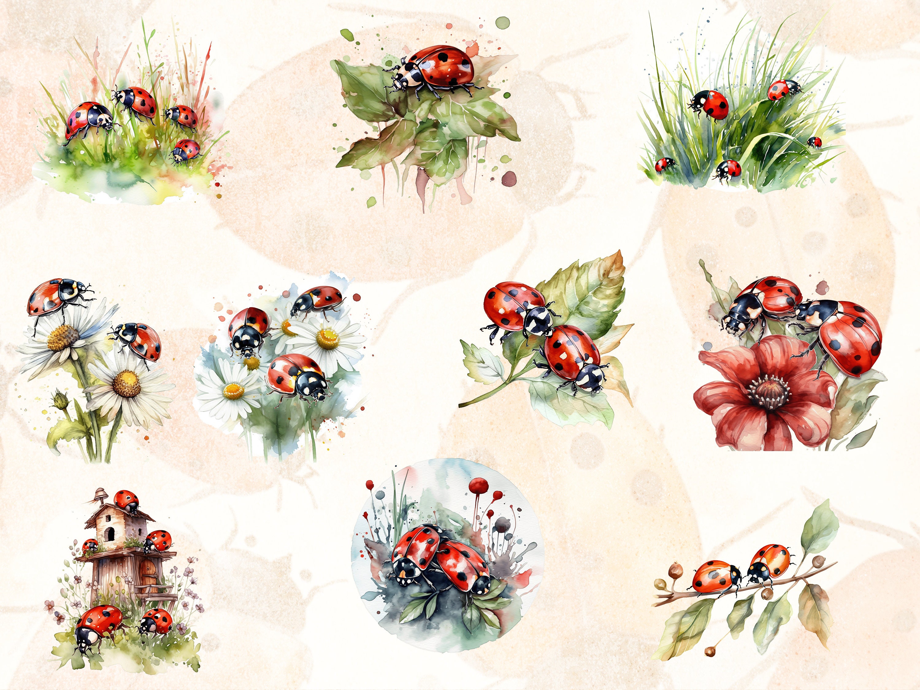 Watercolor Clipart Ladybugs, Flowers and Ladybugs Spring Bundle ...
