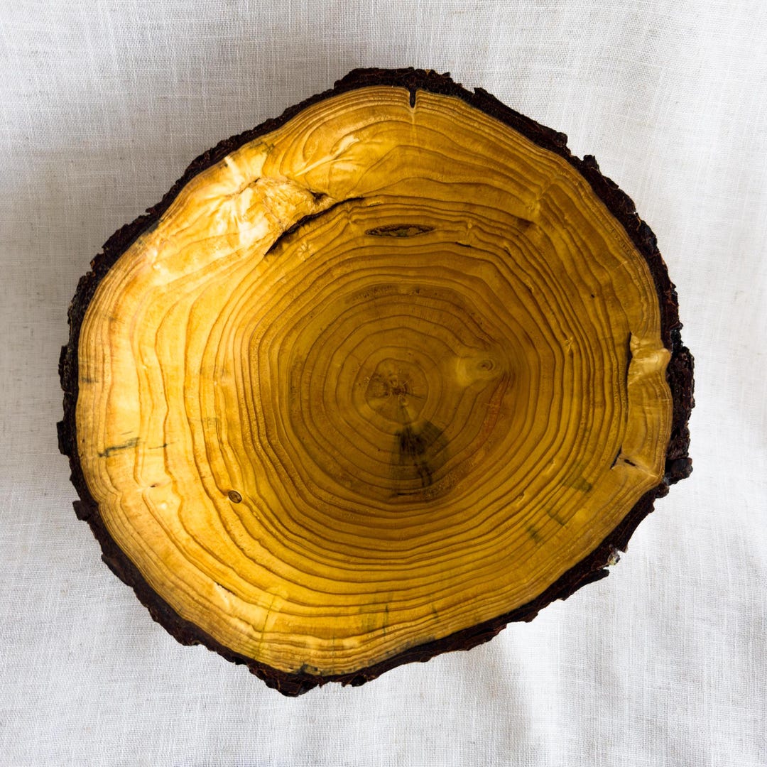 Extra Large Live-edge Norweigan Pine Bowl | 14" Natural Handmade Wooden ...