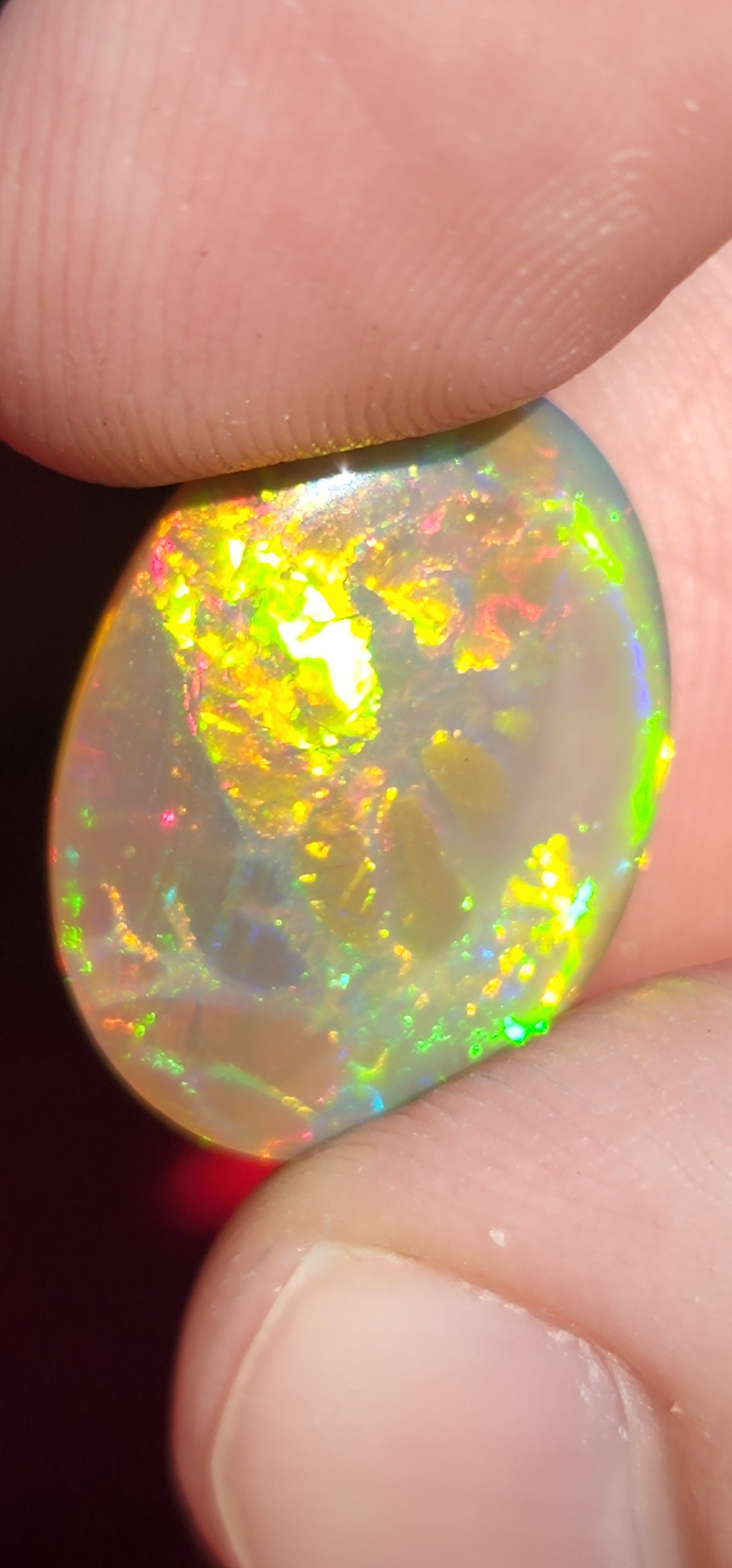 OPAL FOSSIL 10.2 Ct Gold Flash Claw Pattern Opal Incredibly Rare & One ...